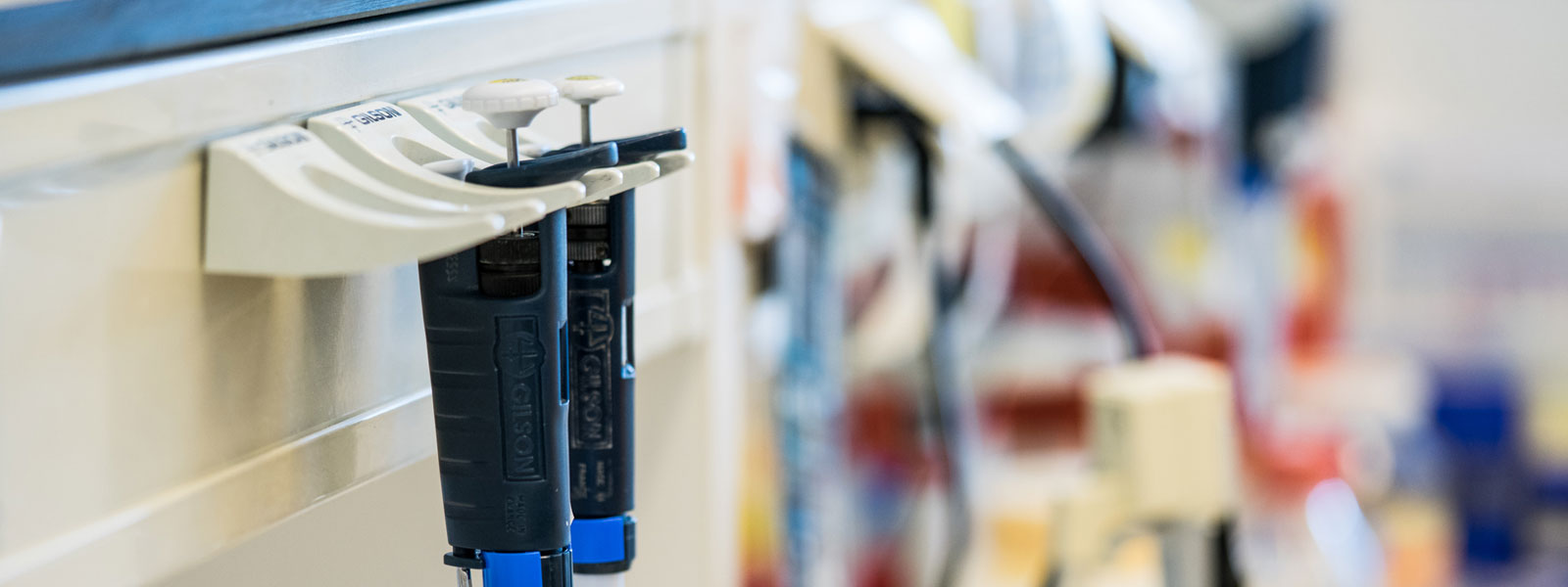 Working at the Hubrecht Institute - Hubrecht Institute