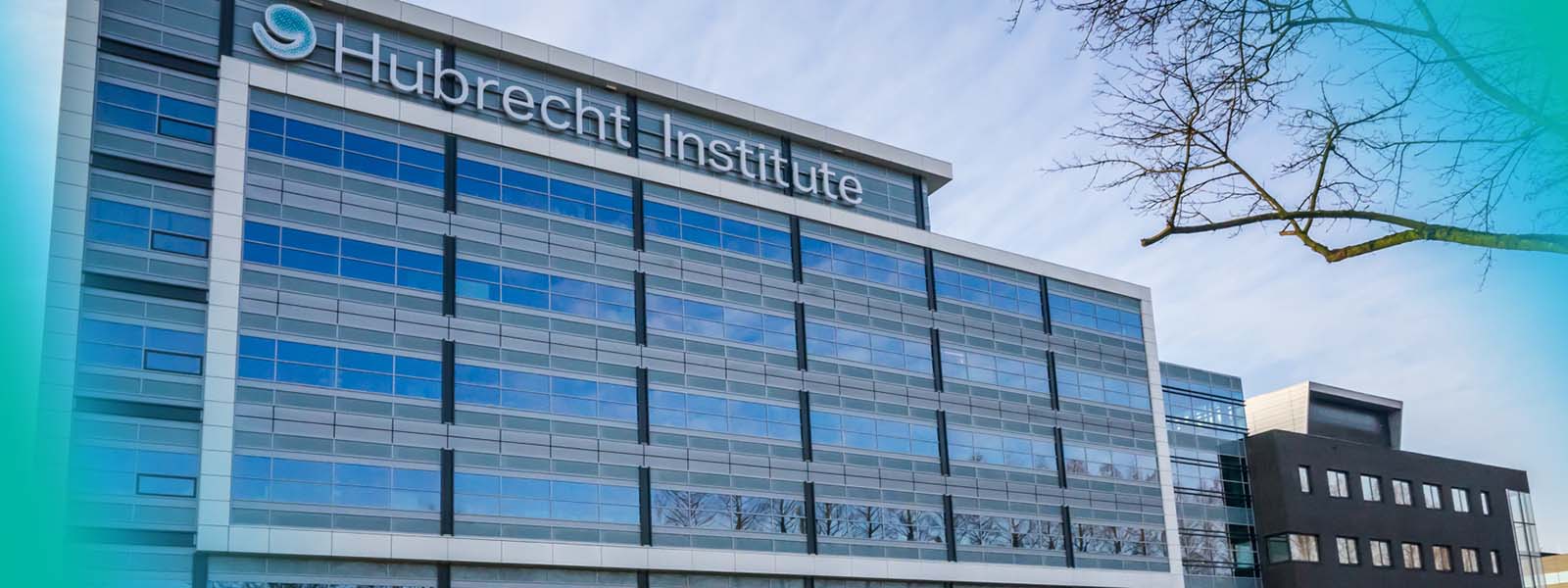Two Veni-grants for the Hubrecht Institute - Hubrecht Institute