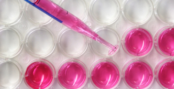 Marvin Tanenbaum selected as Howard Hughes Scholar - Hubrecht Institute