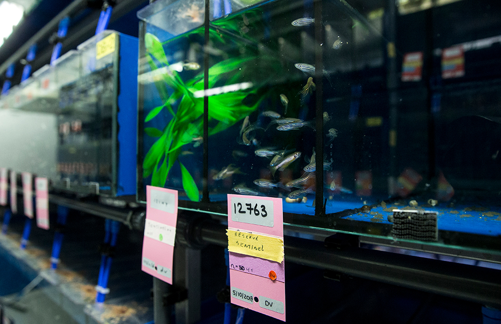 Facilities - Hubrecht Institute