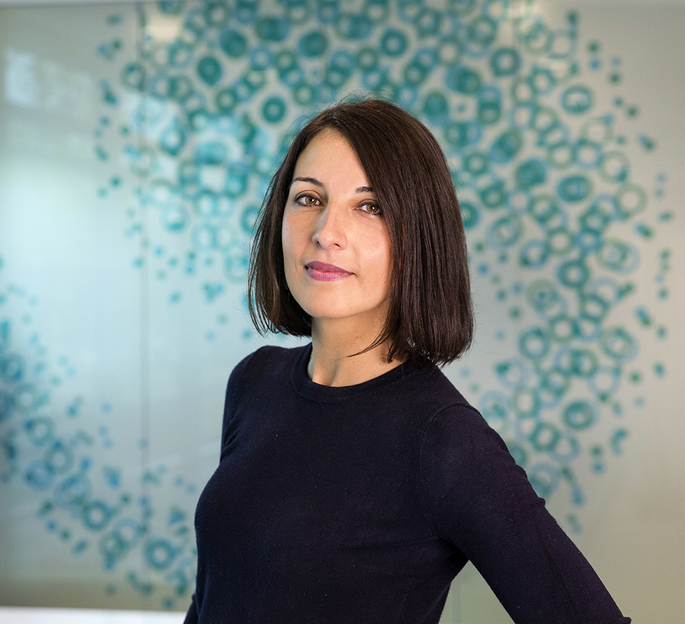 Spiny mouse as a model for heart repair after injury