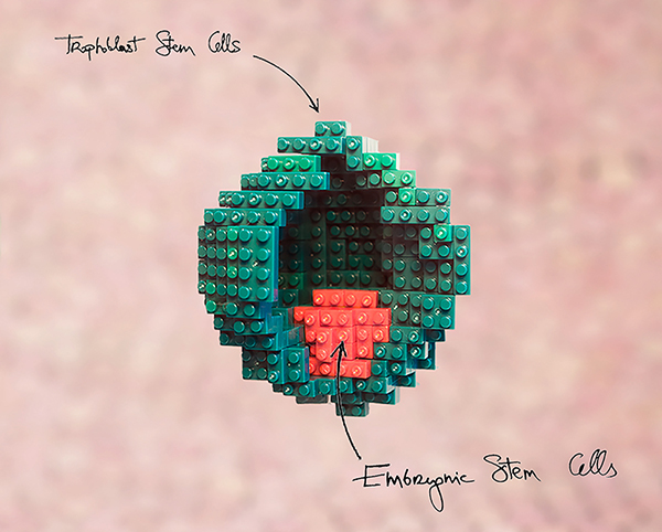 Researchers urge for a discussion on the ethical and societal ...