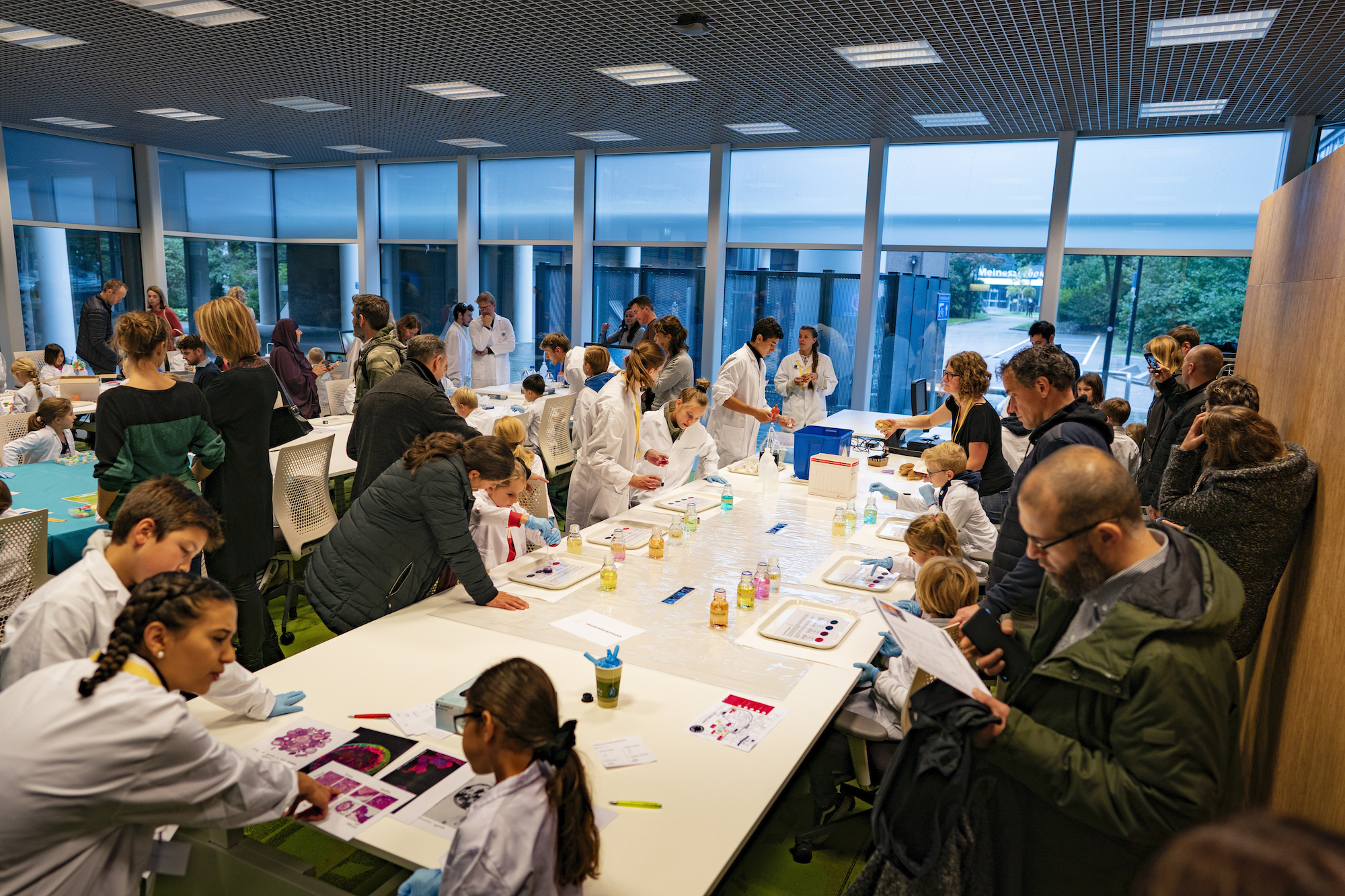 Mini-organs at the Weekend of Science - Hubrecht Institute