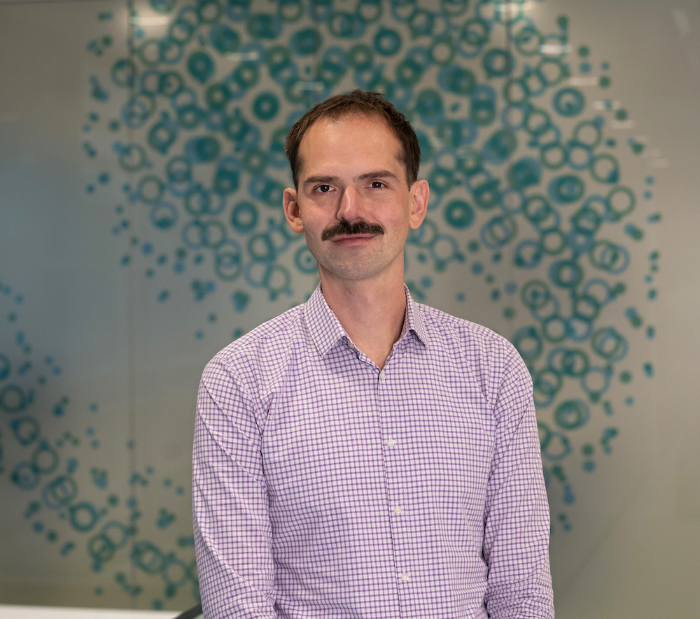 In time we trust: temporal genome regulation of fly embryogenesis