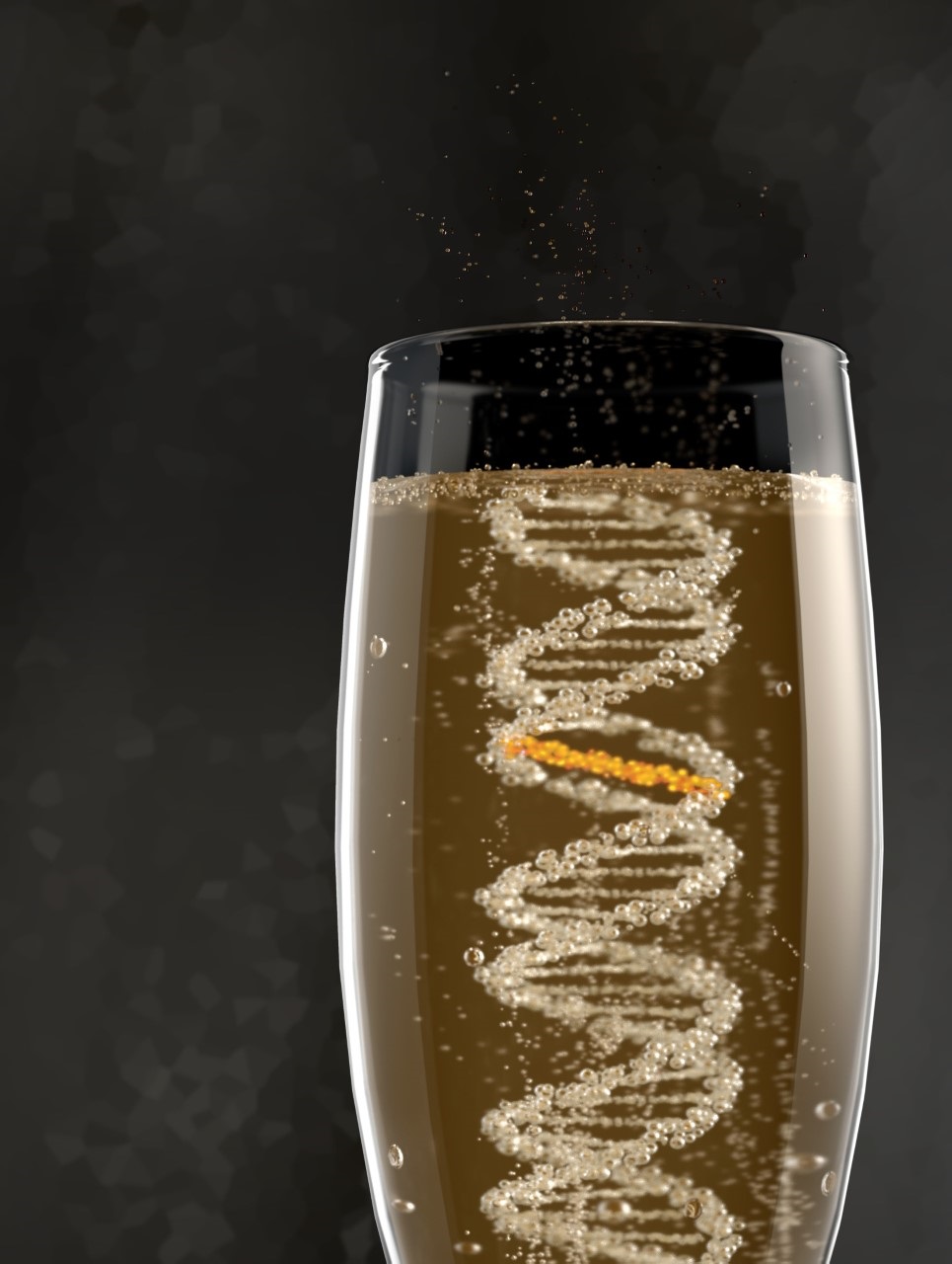 Scientists discover new repair mechanism for alcohol-induced DNA damage ...