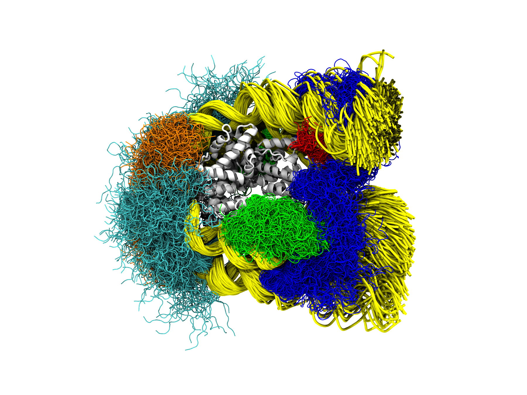 Computer simulations visualize in atomic detail how DNA opens