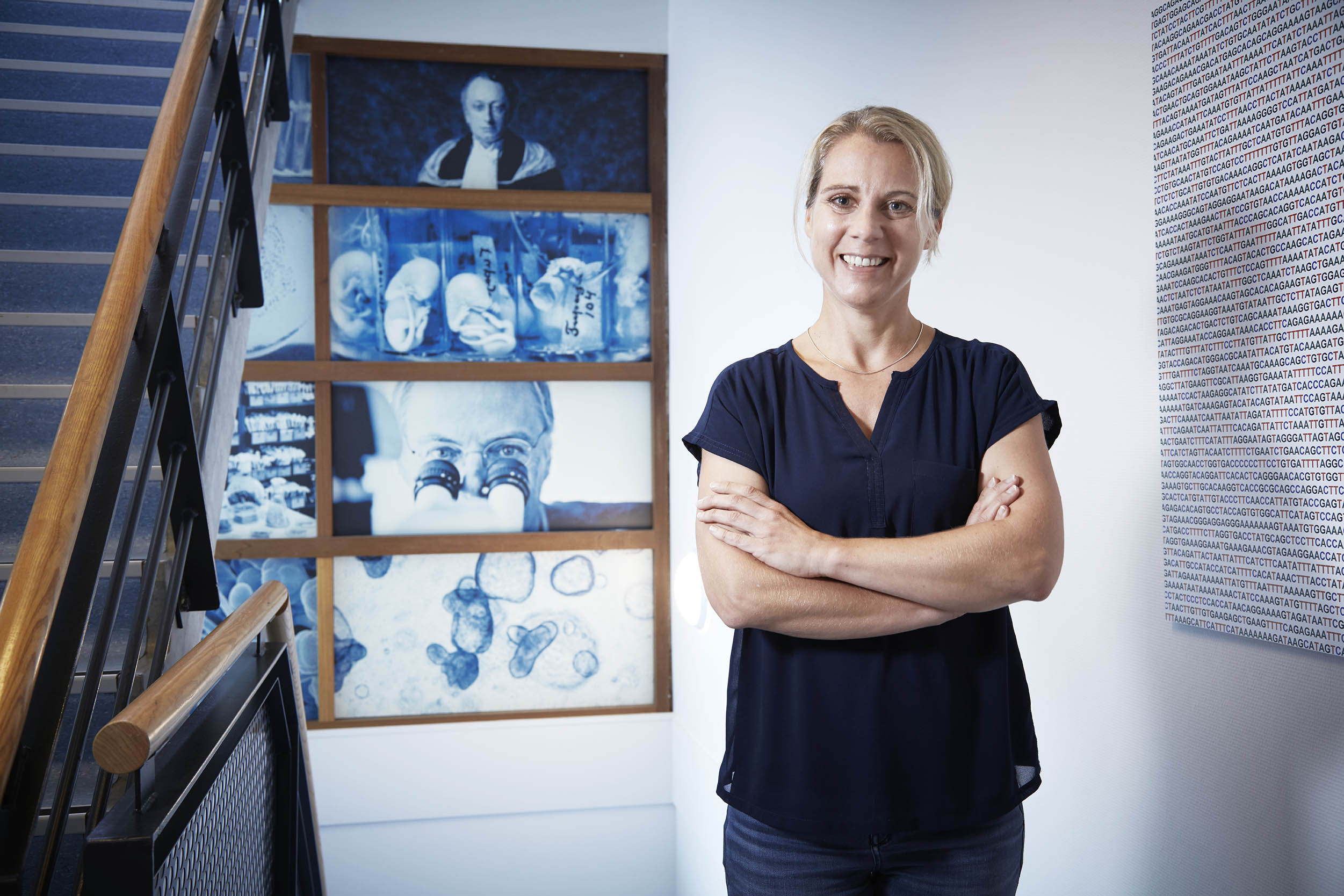 "Fundamenteel onderzoek is investeren in de toekomst" - Hubrecht Institute