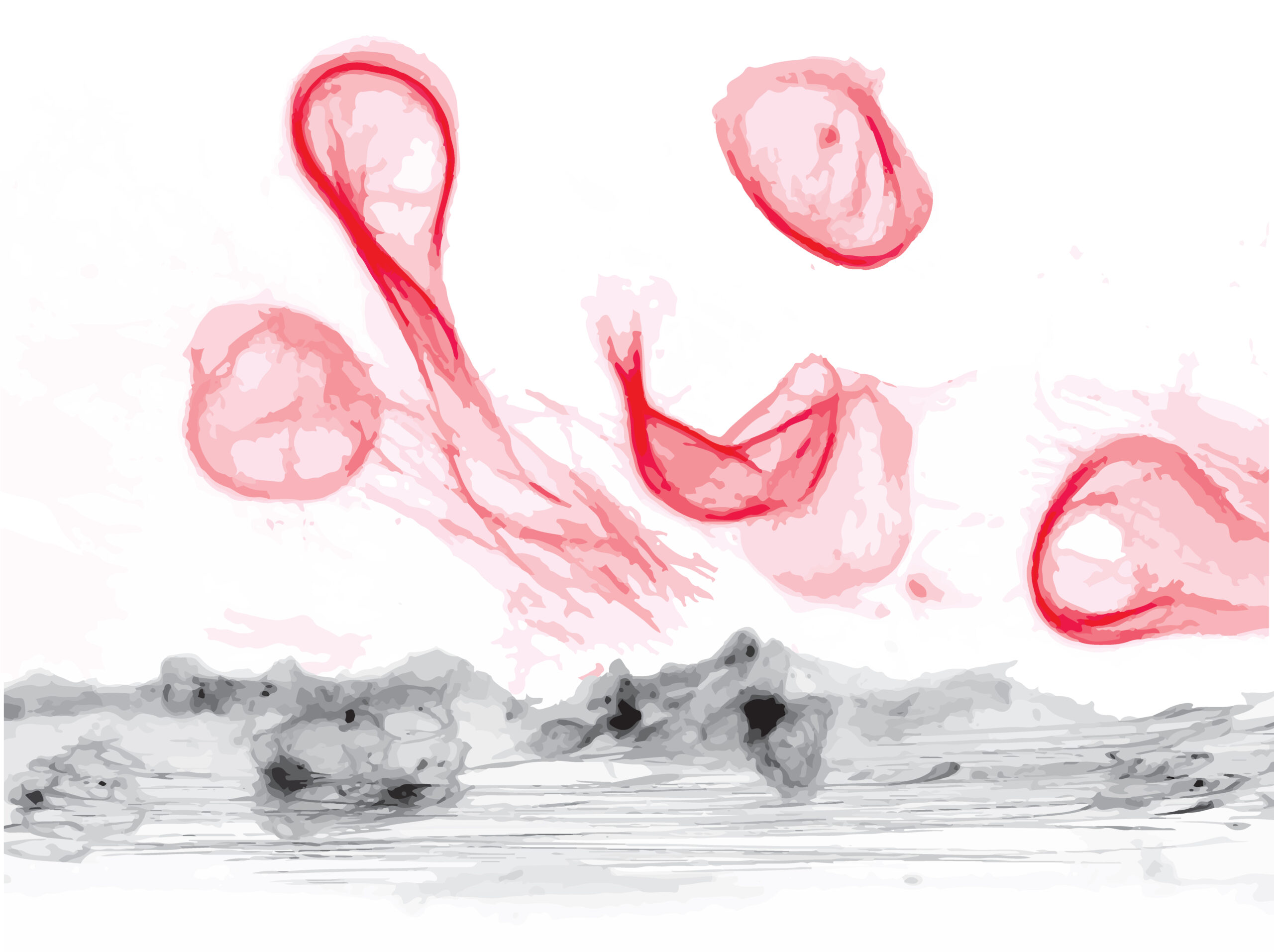 Thesis defense Anna Klaus