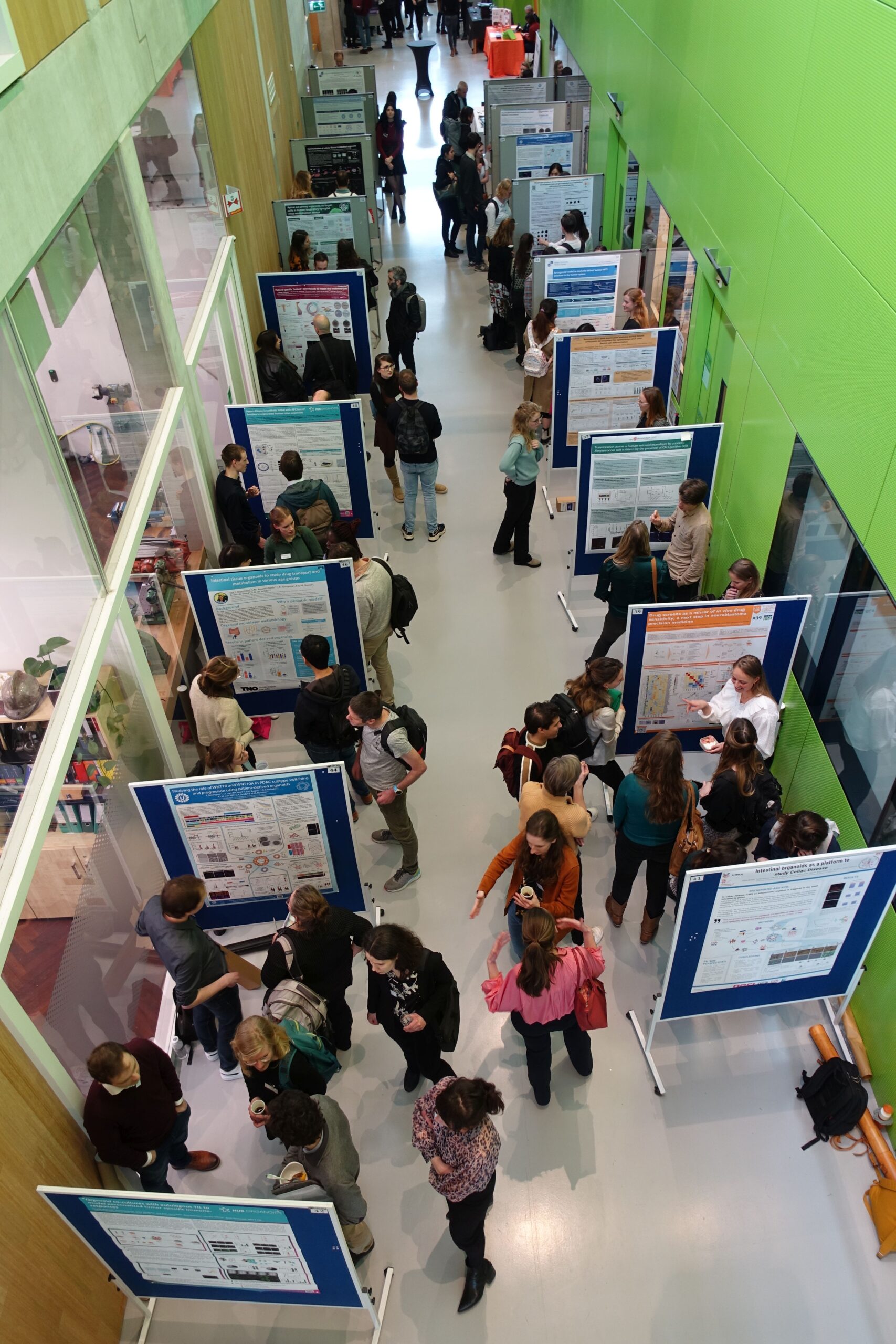 OrganoidNL Symposium 2023 organized for first time in Amsterdam