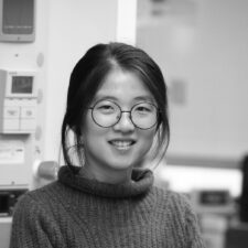 Hiiragi group - Hubrecht Institute