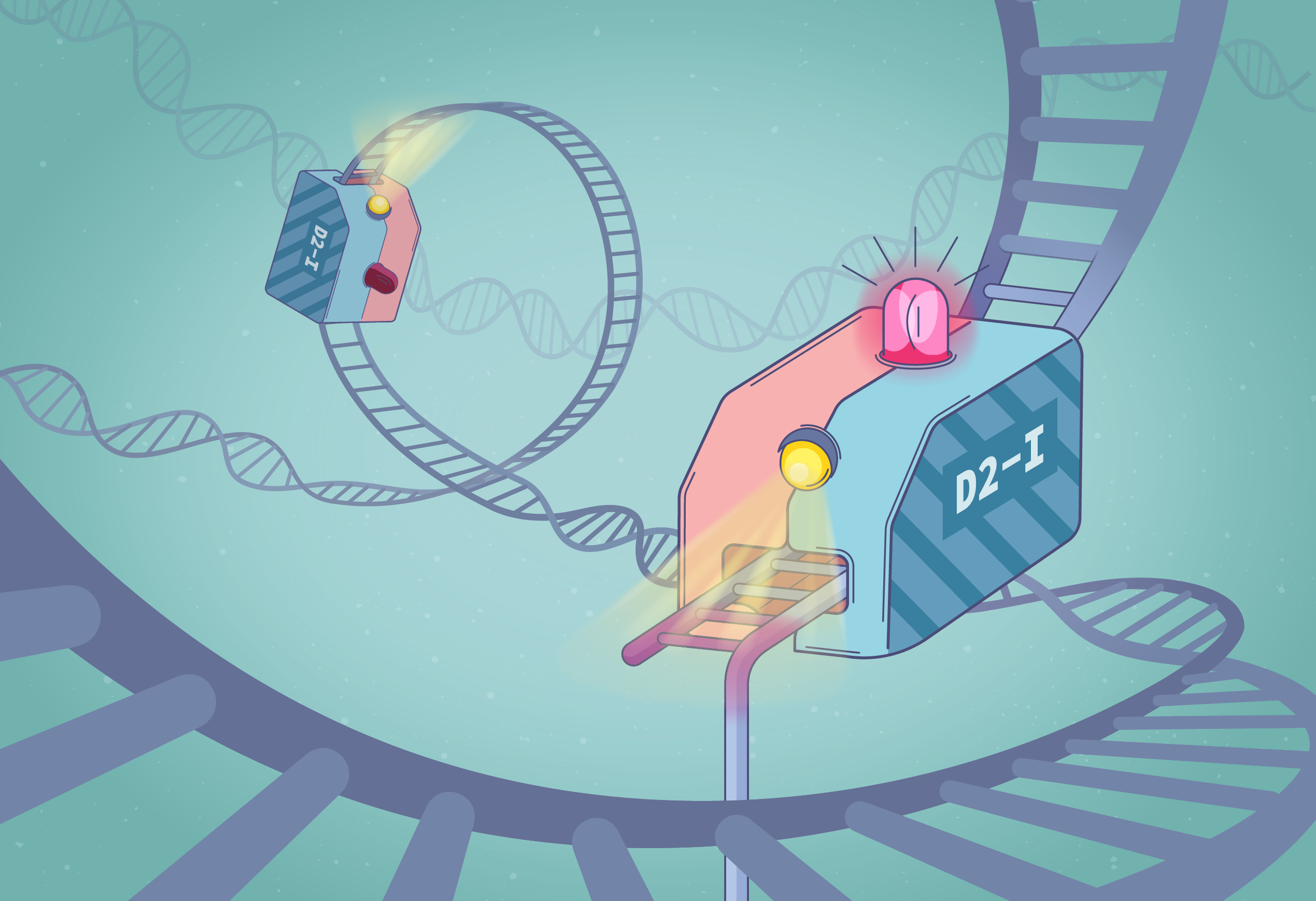 Combining imaging techniques resolves DNA repair mystery