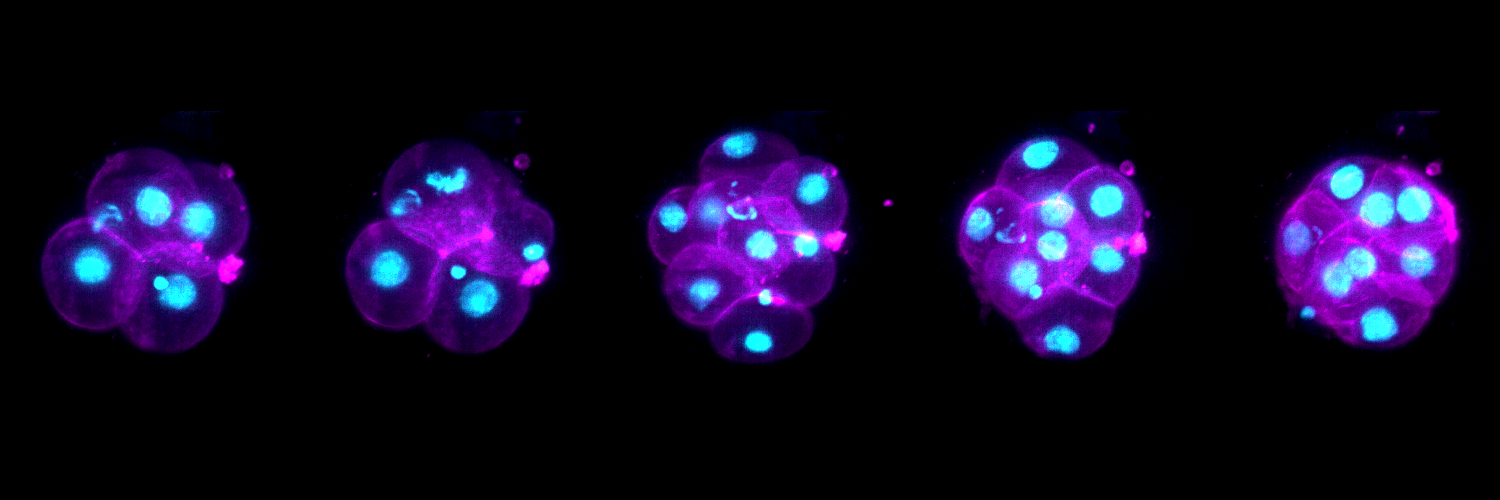 Hubrecht Symposium - Hubrecht Institute