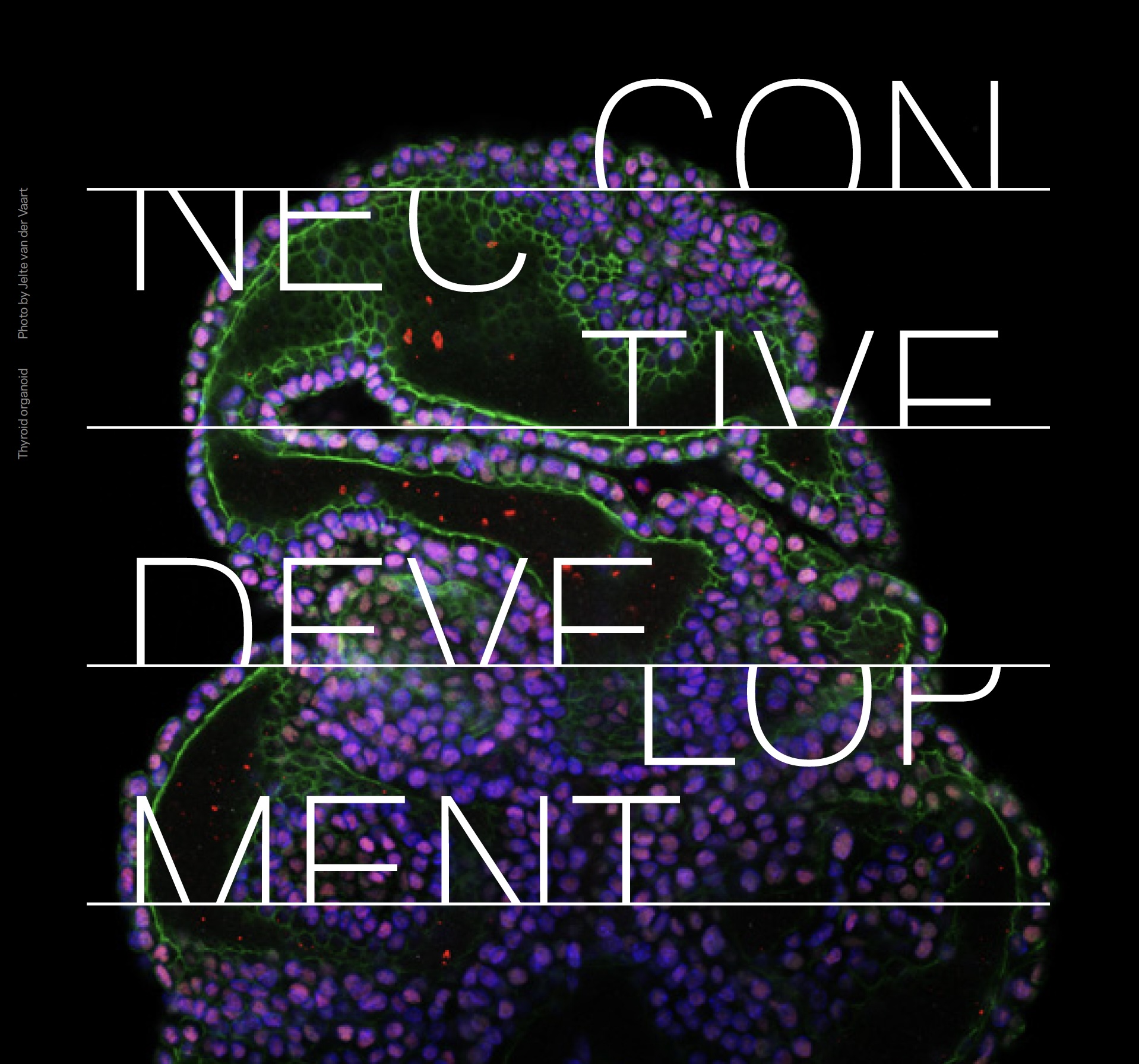 About us - Hubrecht Institute