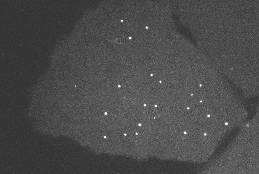 Vici grant for Marvin Tanenbaum