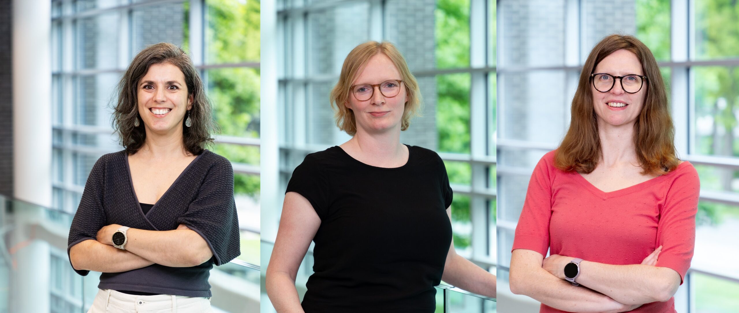 NWO M-Grants for group leaders Galli, Sonnen and Mattiroli